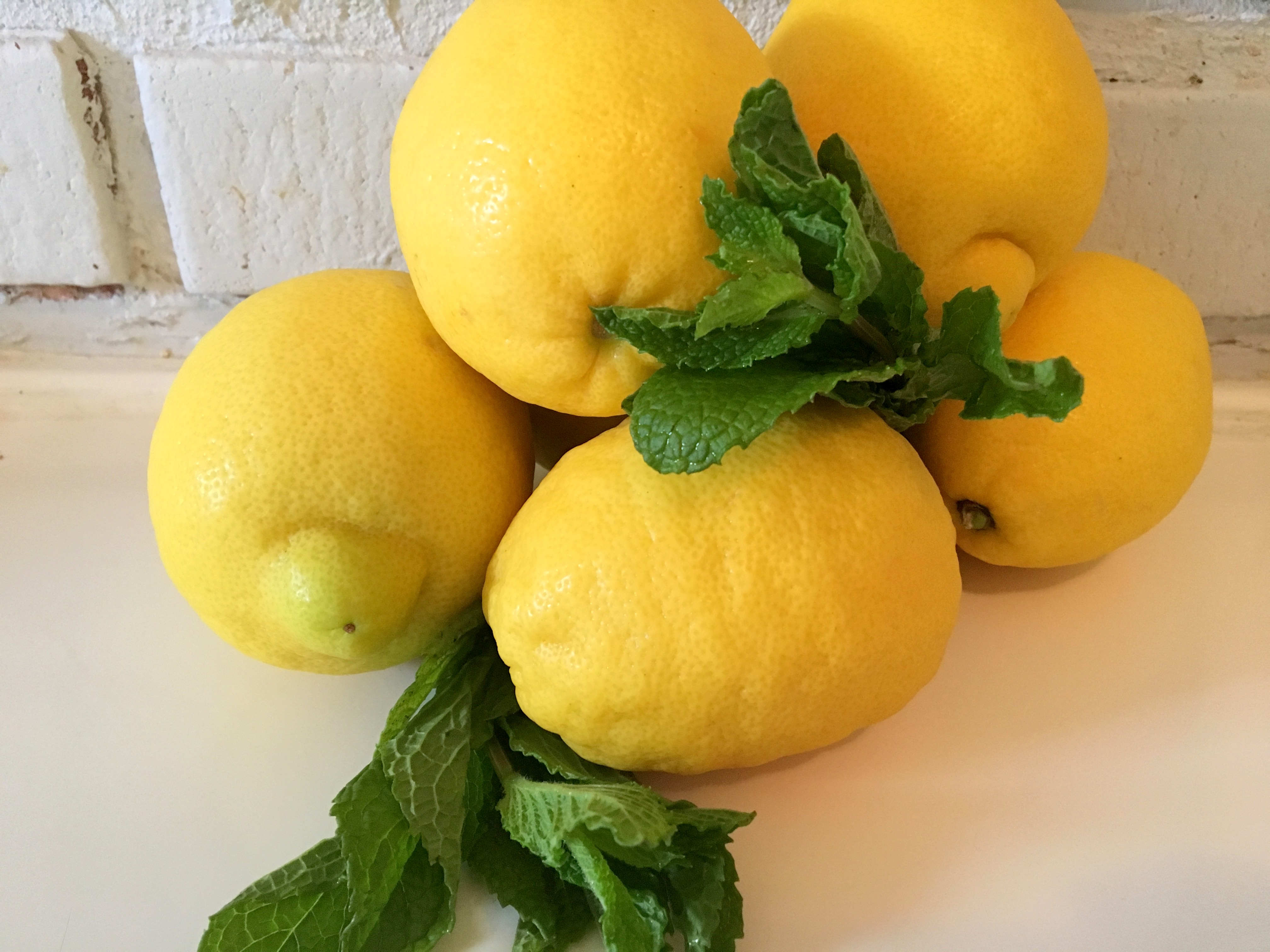 Mint Lemonade | Living Taylored