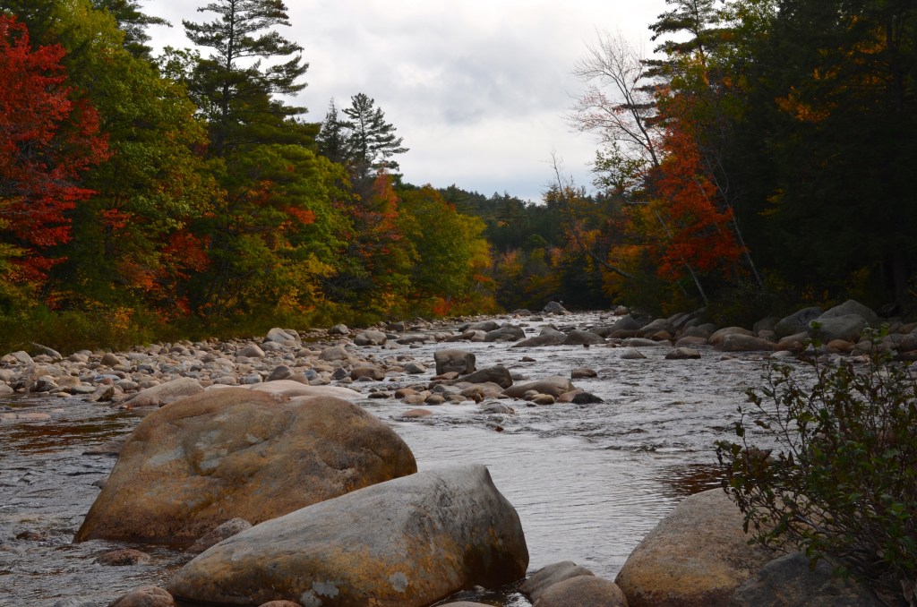 Exploring the White Mountains | Living Taylored